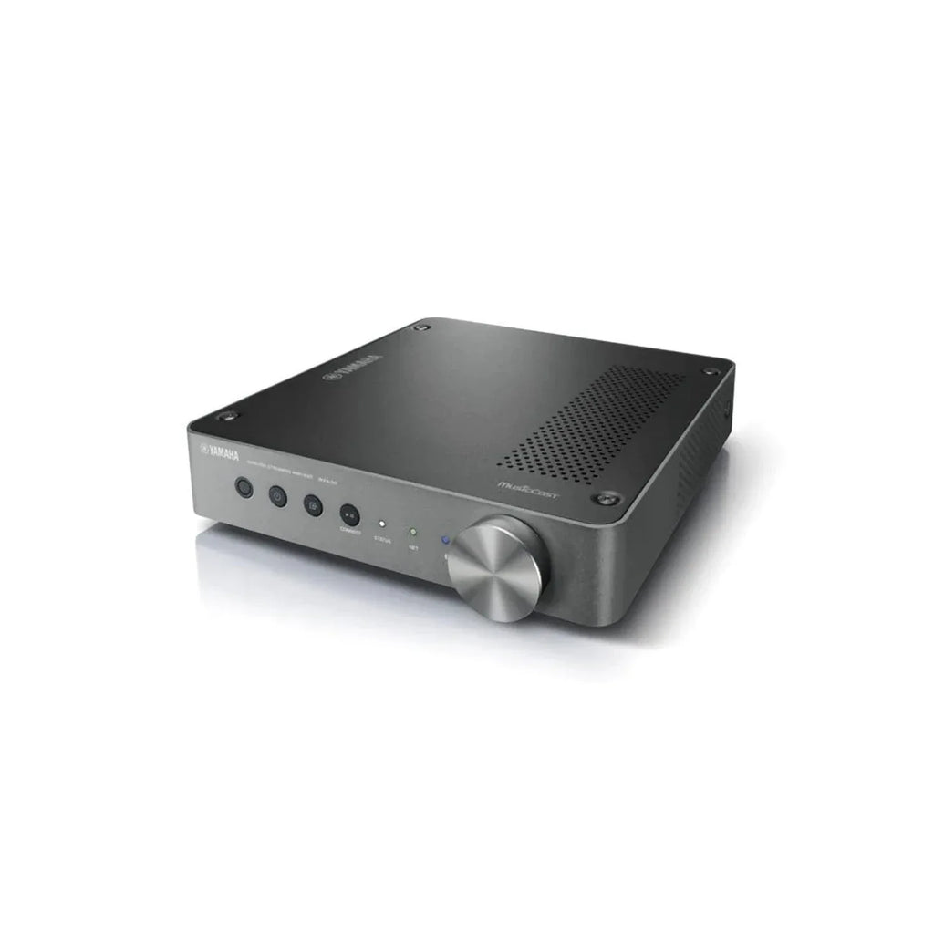 Buy Best Streaming Amplifiers in India 2024 — ProHiFi India
